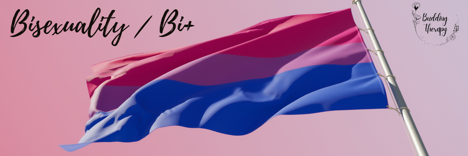 Resources: Bisexuality+